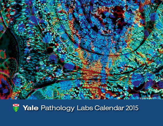 Yale Pathology Labs Calendar